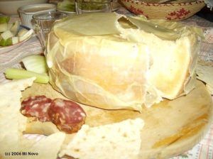 Casu Marzu Pecorino Sardo Con Larve - Wine And Food Tour