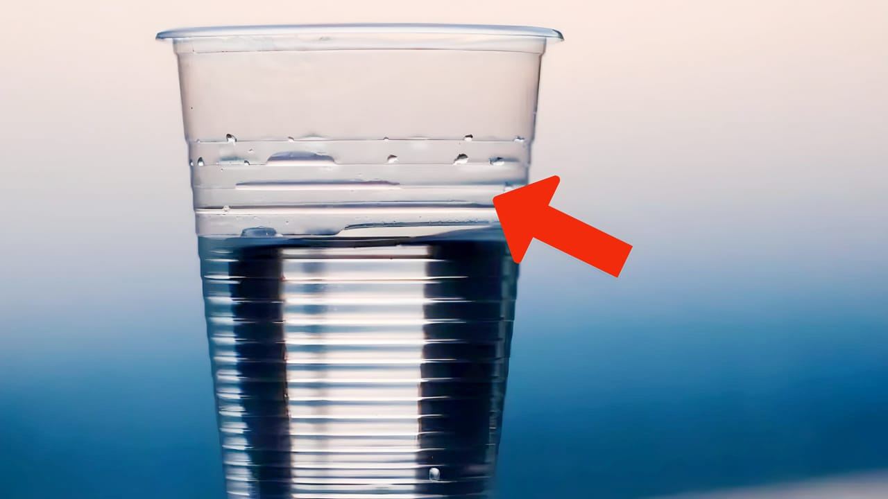 Bicchieri Di Plastica Sai A Cosa Servono Quelle Zigrinature Non 